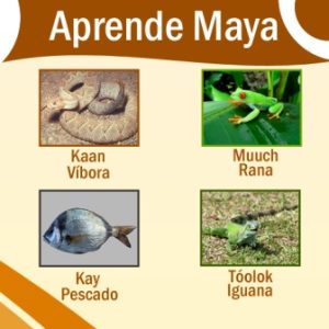 Cómo se dice Serpiente en Maya - Comunidades Indigenas de Mexico